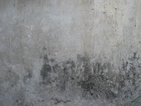 Grunge Textures Grunge Texture For Me